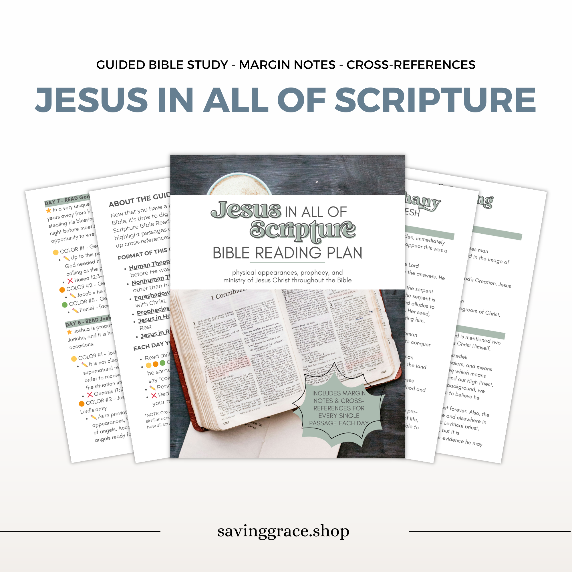 Jesus in All of Scripture Guided Study – Saving Grace Print Shop