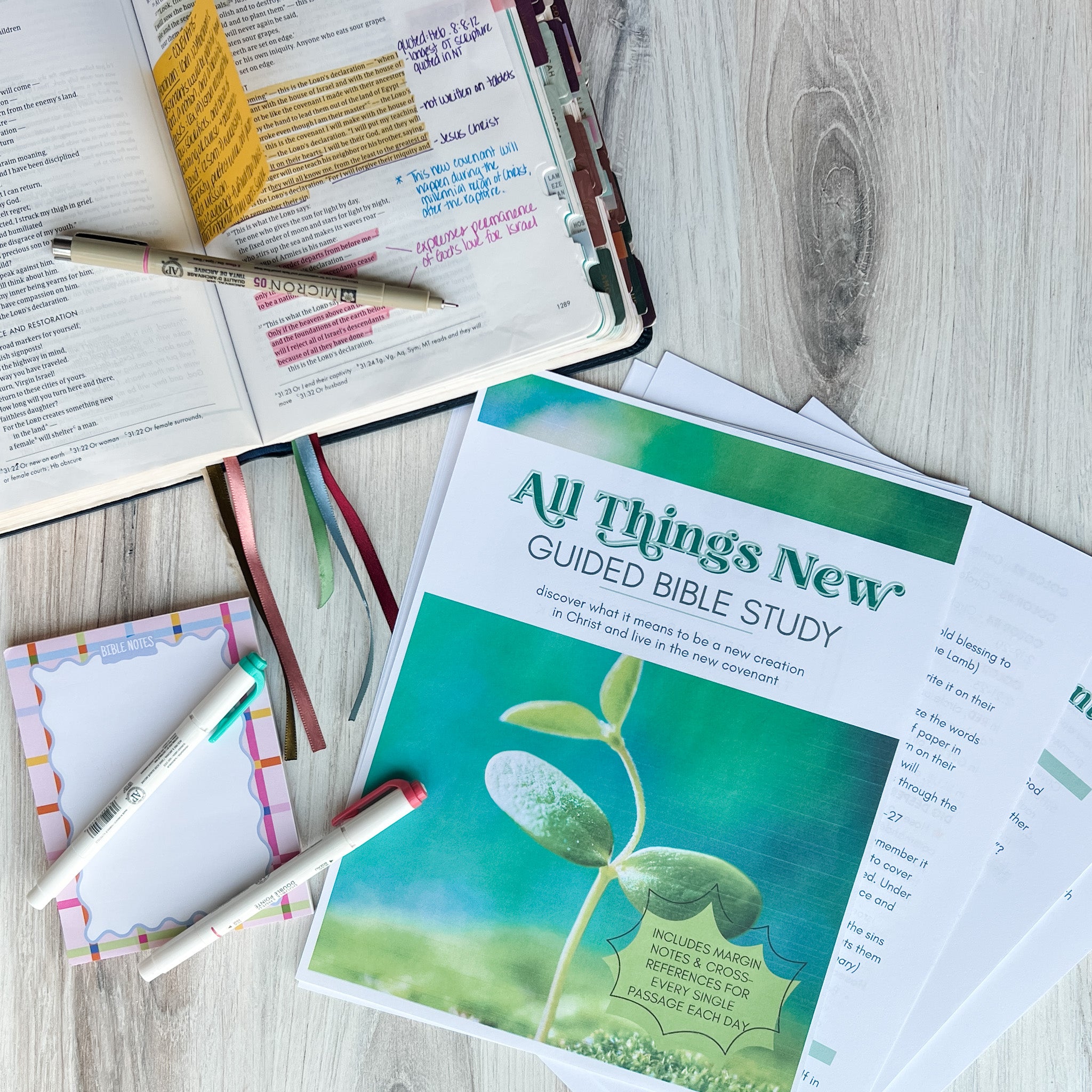 All Things New Guided Study – Saving Grace Print Shop